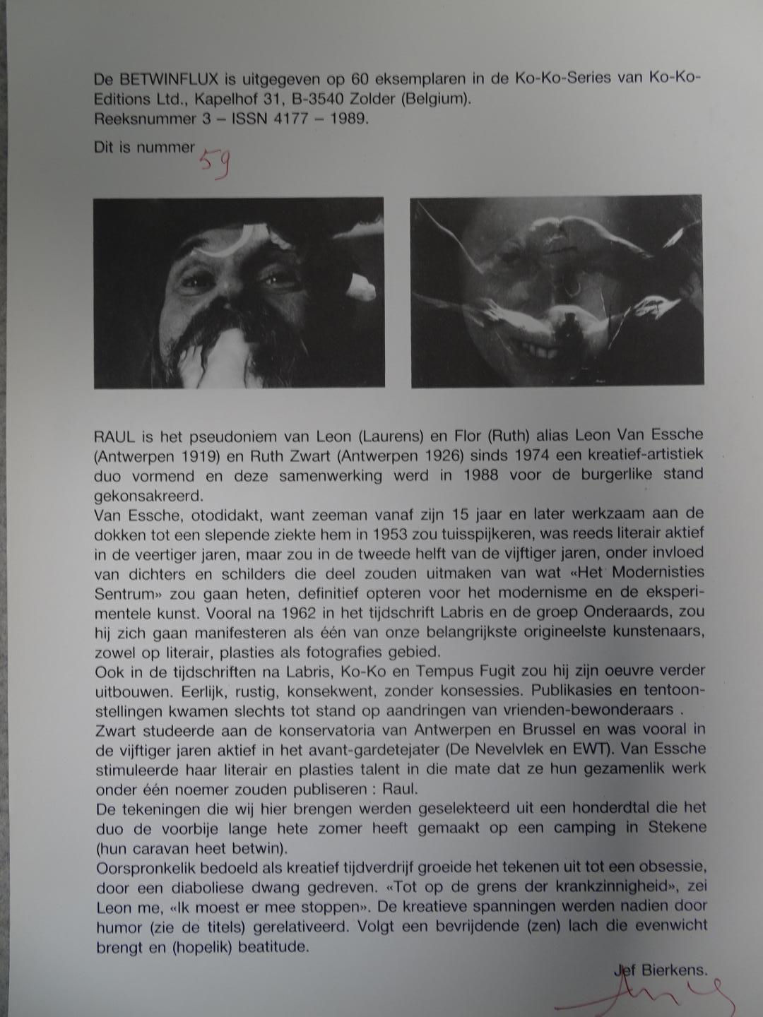 Kunst, Zeldzame Gelimiteerde + Gesigneerde Map: The Bedwin Flux, RAUL ...